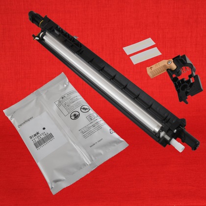 Xerox 607K07290 (607K07291) Developer Unit Kit (K) - Black - Includes ...