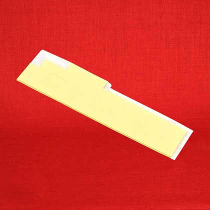 Toshiba E STUDIO 3500C Front Side Seal for Magnetic Roller, Genuine (M6273)